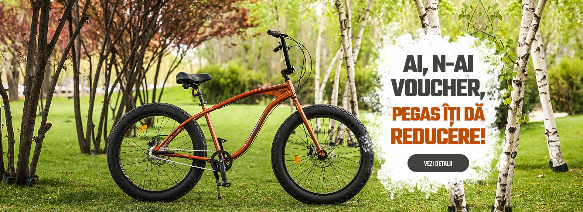 Biciclete românești - Cucerește Orașul | Bicicleta Pegas